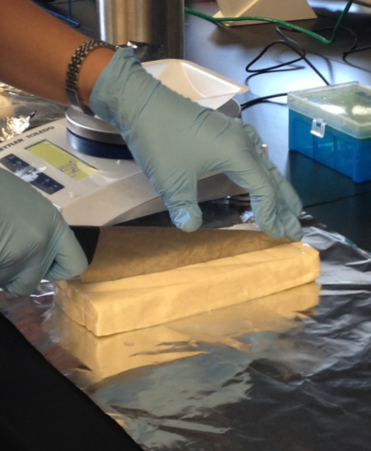 Research | D'Amico Microbiology Lab