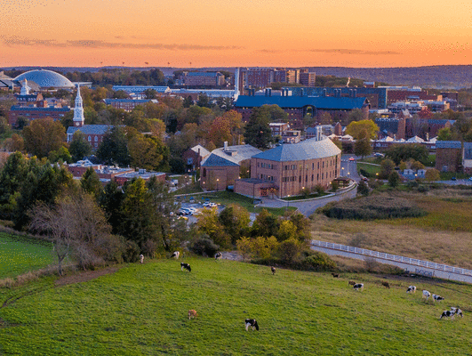 Home | D'Amico Microbiology Lab